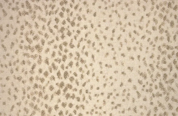 Pearlina by Stanton Carpet - Wool Animal Print | Cheetah