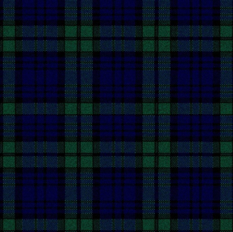 Plaid Carpet from Stanton & Prestige | Tartan Custom Rugs