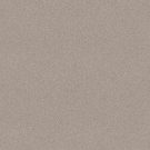 DEL RIO I by Shaw Floors | Carpets in Dalton