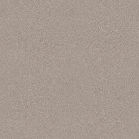 DEL RIO I by Shaw Floors | Carpets in Dalton