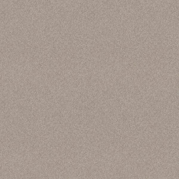 DEL RIO I by Shaw Floors | Carpets in Dalton