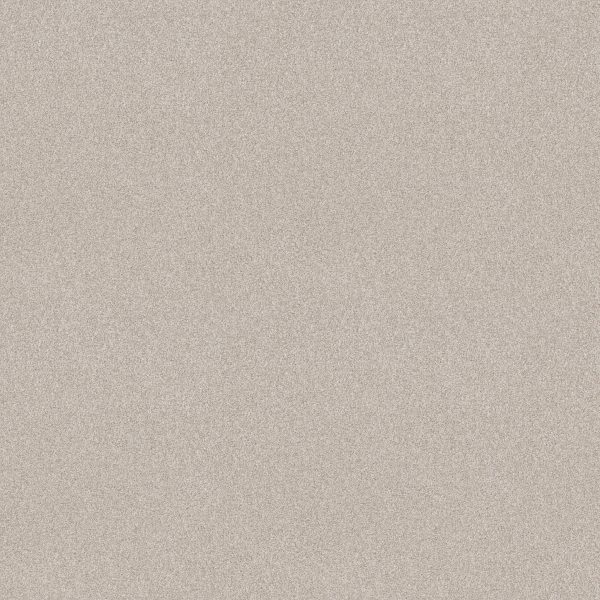 DEL RIO I by Shaw Floors | Carpets in Dalton