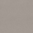 DEL RIO I by Shaw Floors | Carpets in Dalton