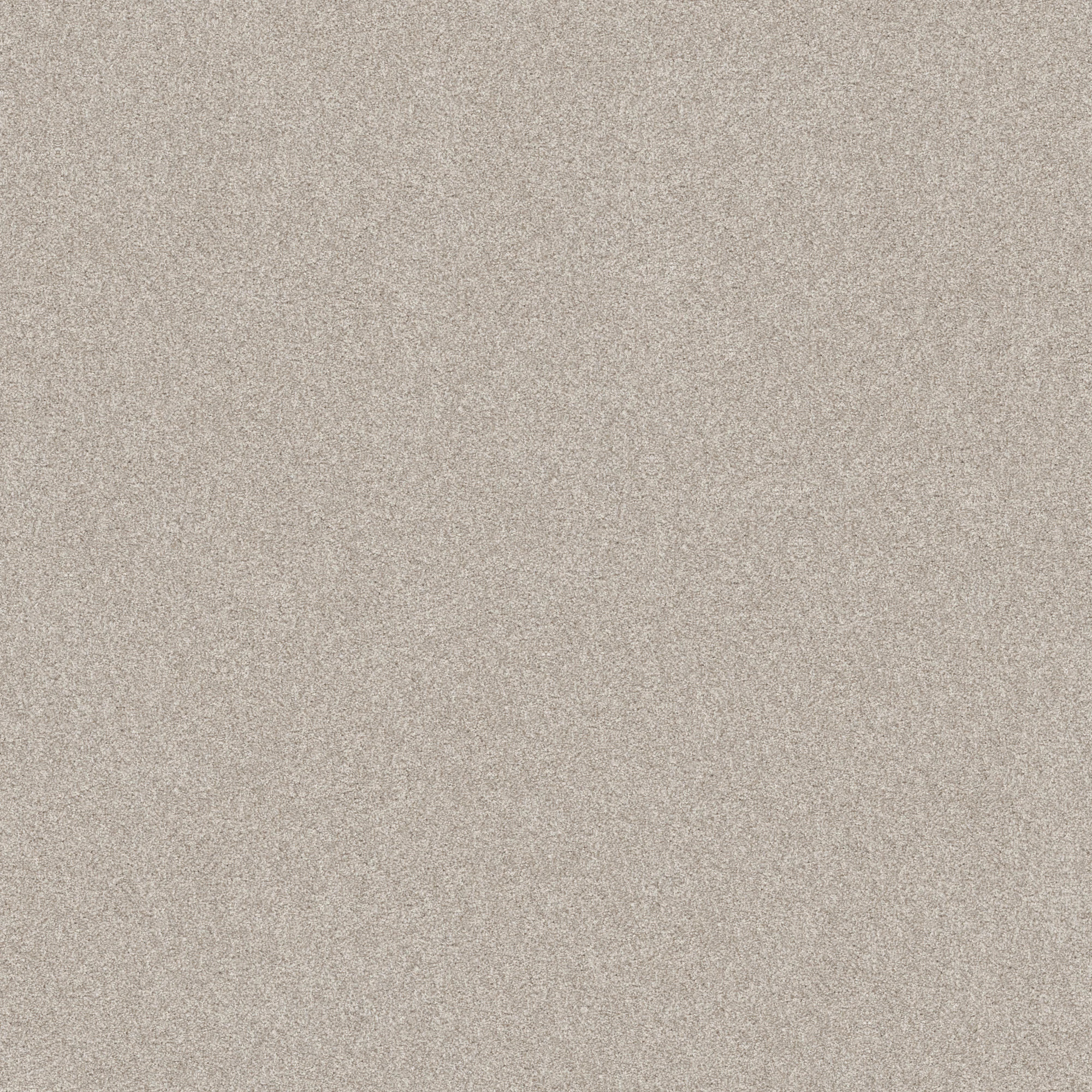 DEL RIO II by Shaw Floors | Carpets in Dalton